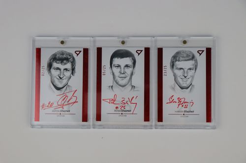 SportZoo - How to protect cards from damage